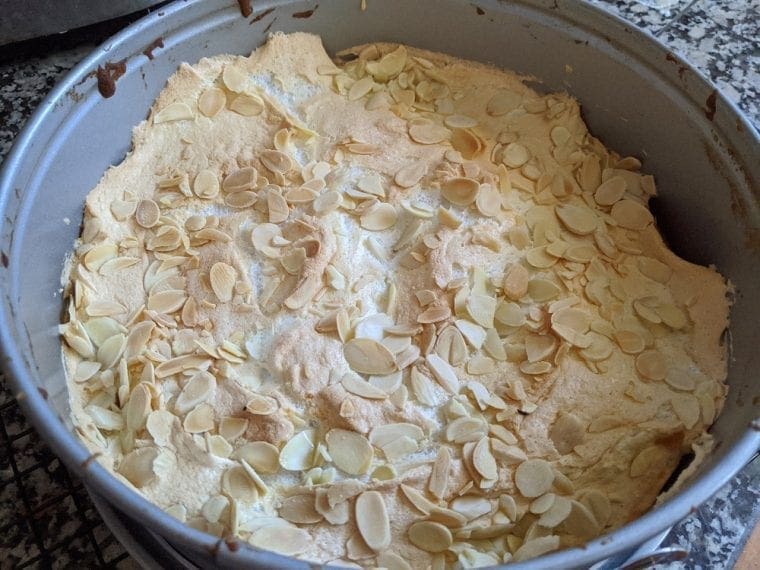 Easy Blitz Torte Recipe- Fast Cake with Cream and Fruit