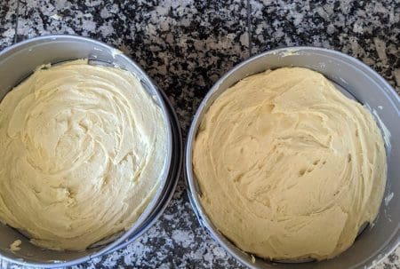 Easy Blitz Torte Recipe- Fast Cake with Cream and Fruit