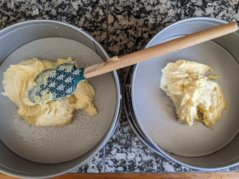 Easy Blitz Torte Recipe- Fast Cake with Cream and Fruit