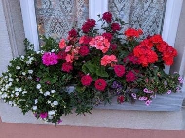 German House Windows- Practical Engineering that WORKS