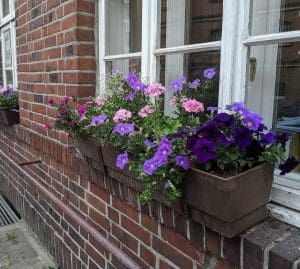 German House Windows- Practical Engineering that WORKS