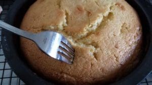 My Oma's German Lemon Cake Recipe - Bursting with Lemon Flavor
