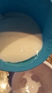 How to Make Quark- Make Creamy German Quark with a Yogurt Maker