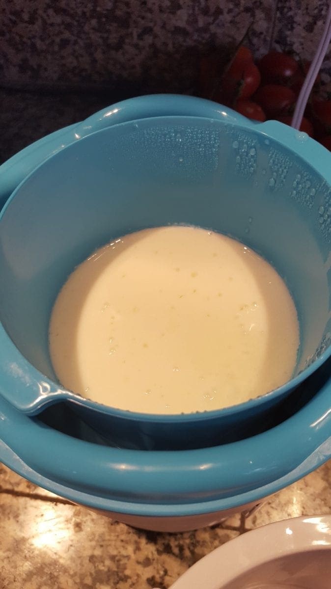 How to Make Quark- Make Creamy German Quark with a Yogurt Maker