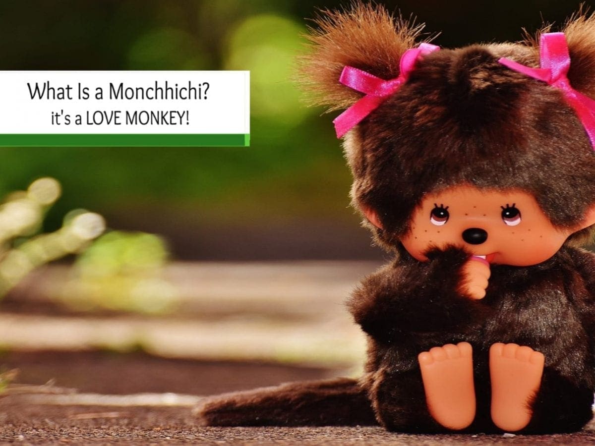 What is a Monchichi?? Who Else had an Adorable Love Monkey?