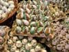 German Easter Markets - Easter Shopping In Germany