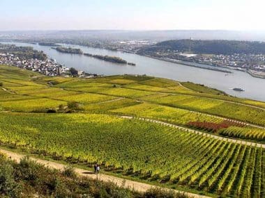 Maps of German Wine Regions- Plan and Remember Your Wine Adventure | A ...