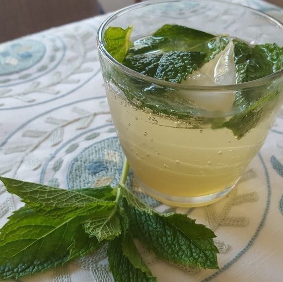 Hugo Drink Recipe- Learn How to make this Refreshing Cocktail!