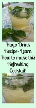Hugo Drink Recipe- Learn How to make this Refreshing Cocktail!