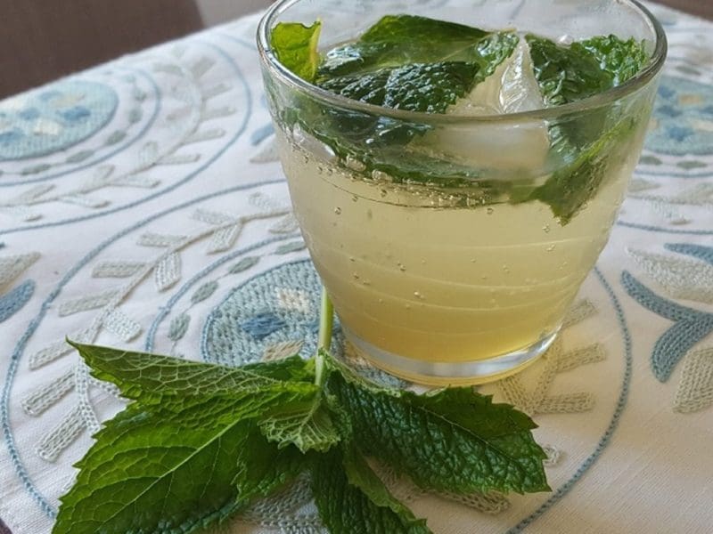 Hugo Drink Recipe- Learn How to make this Refreshing Cocktail!