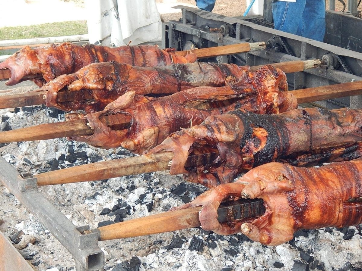What is Spanferkel? A Roasted Pig, Perfect for German Festivals!