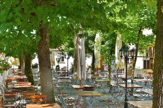 The Biergarten- A Bavarian Cultural Essential