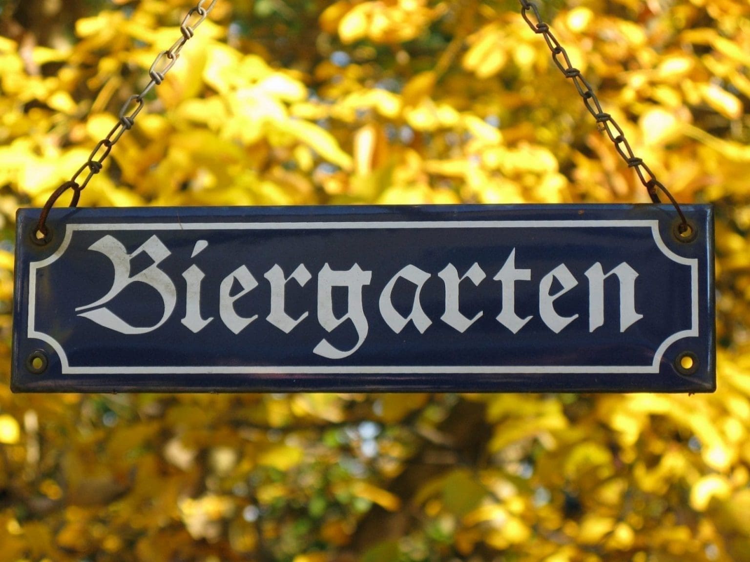 The Biergarten- A Bavarian Cultural Essential