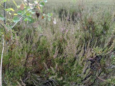 My Month in Germany- And I STILL haven't Seen it All!