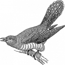 German Nursery Rhymes and Songs That we all Loved to Sing