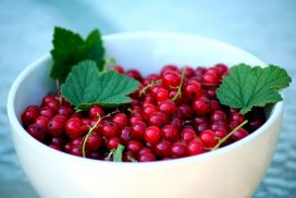 What to do with Red Currants! Recipes and Growing Tips