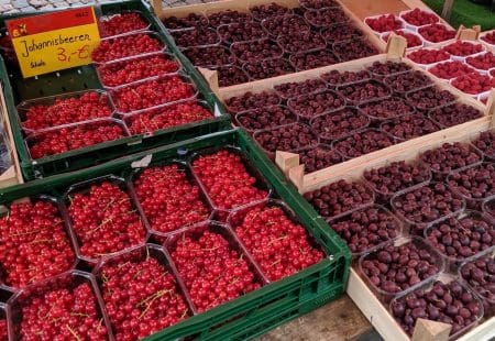 What to do with Red Currants! Recipes and Growing Tips