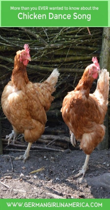 History of the Chicken Dance Song- How did Ducks became Chickens?