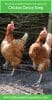 History of the Chicken Dance Song- How did Ducks became Chickens?
