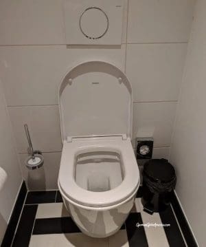 German Bathroom Fixtures- What's the Deal with those Toilets?