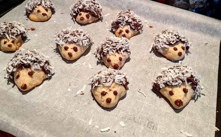 German Hedgehog Cookie Recipe- Fun Igel Plätzchen for Spring