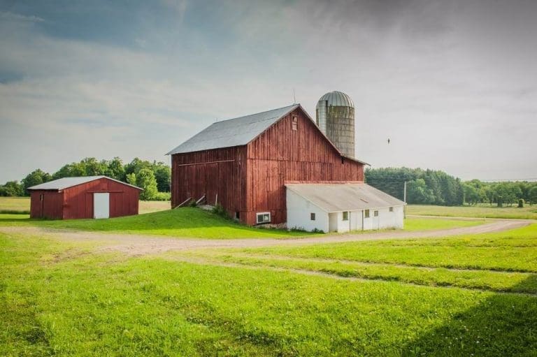 Pennsylvania Germans: An Interpretive Encyclopedia
