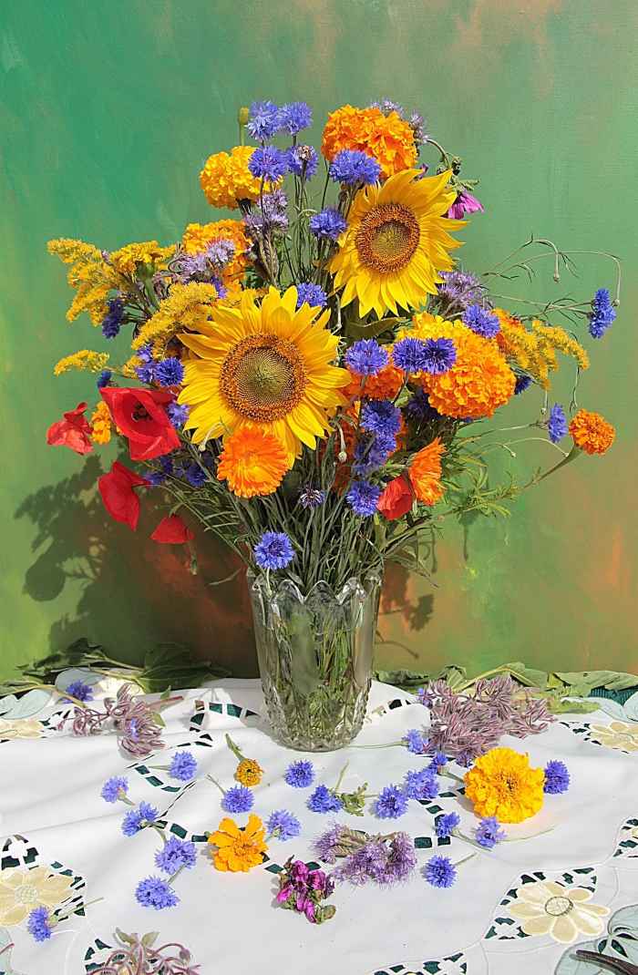 Petals of Home: Flowers in German and American Life