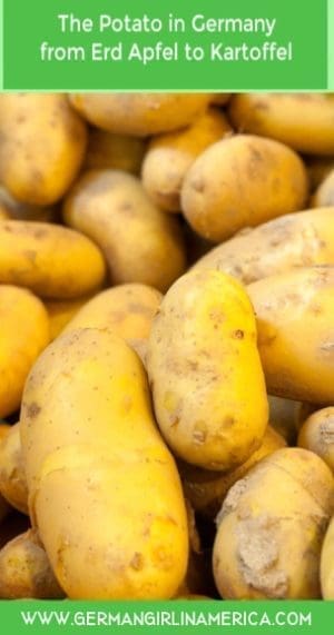 The Potato in Germany- From Erd-Apfel to Kartoffel