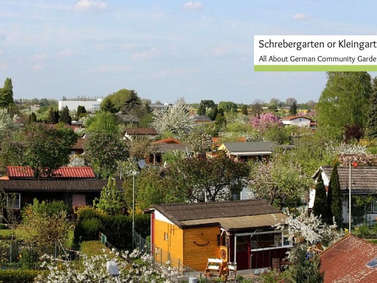 What is a Schrebergarten or Kleingarten- Little Garden Plots